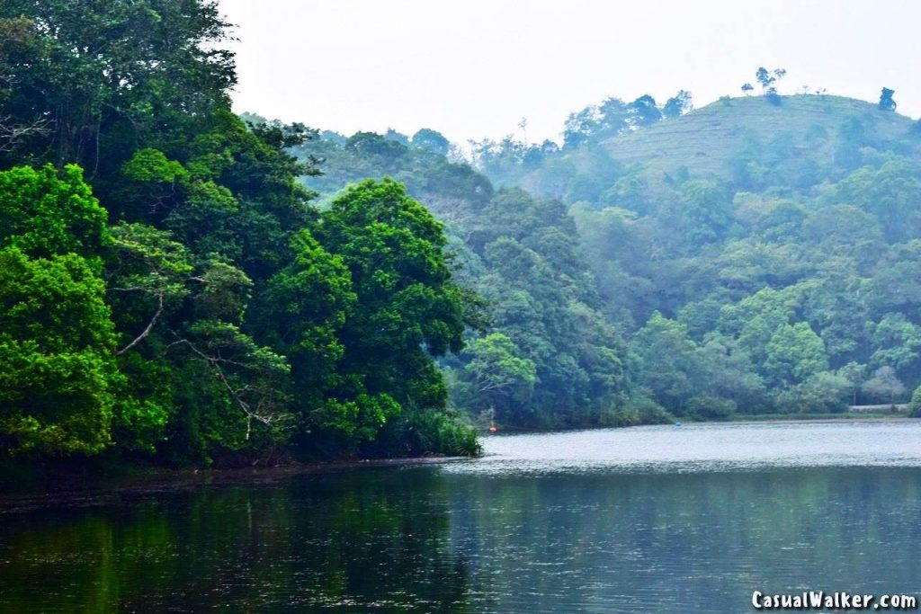 Pookode Lake, Wayanad - Kalpetta, Kerala Hill Station Visit, Travel ...