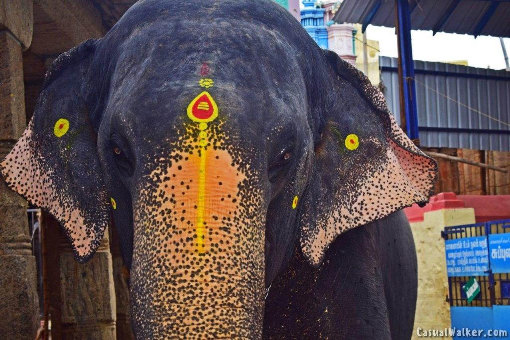 Kunnakudi / Kundrakudi Shanmughanathar Murugan Temple, Tirupattur ...