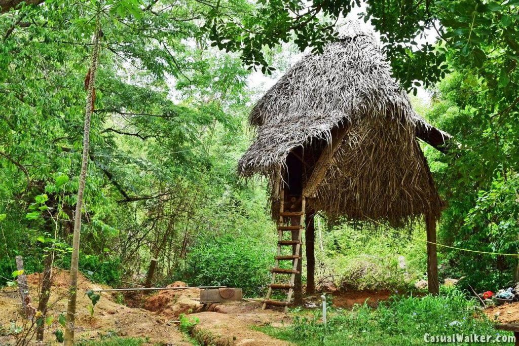 Solitude Farm - Food Discovery Trail, Auroville, Pondicherry Visit ...