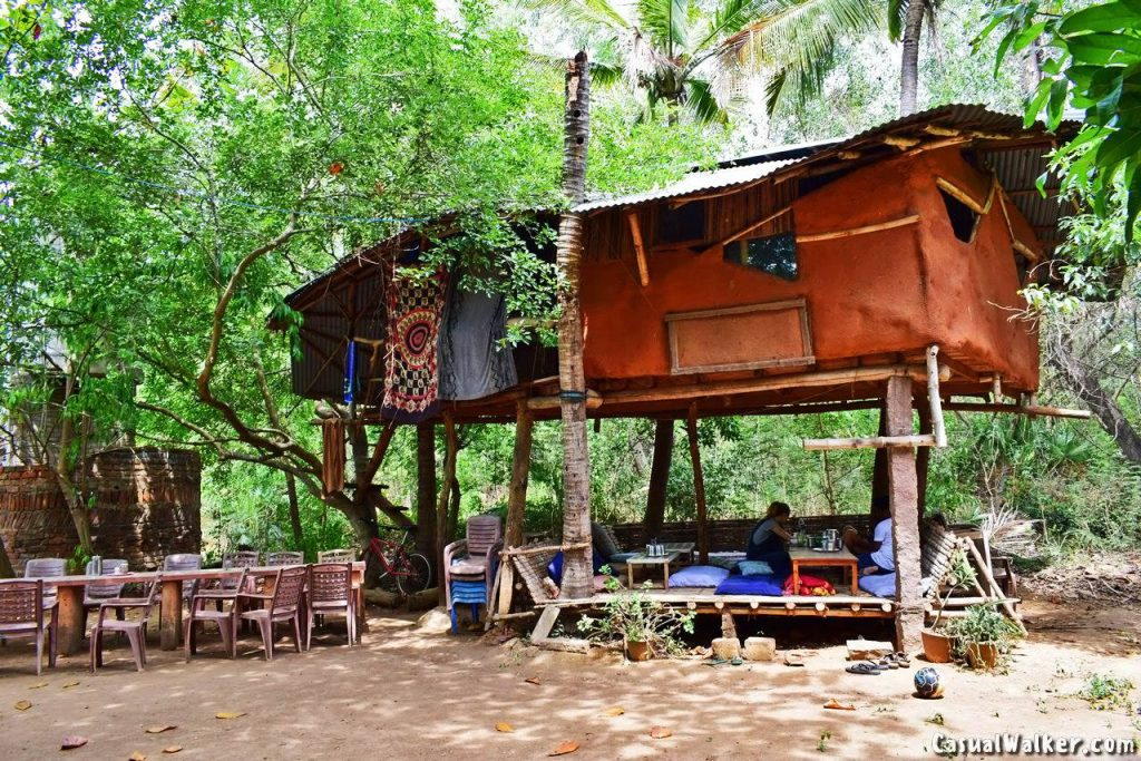 Solitude Farm - Food Discovery Trail, Auroville, Pondicherry Visit ...