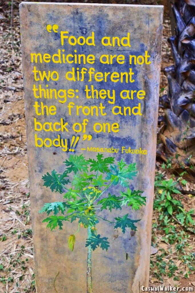 Solitude Farm - Food Discovery Trail, Auroville, Pondicherry Visit ...