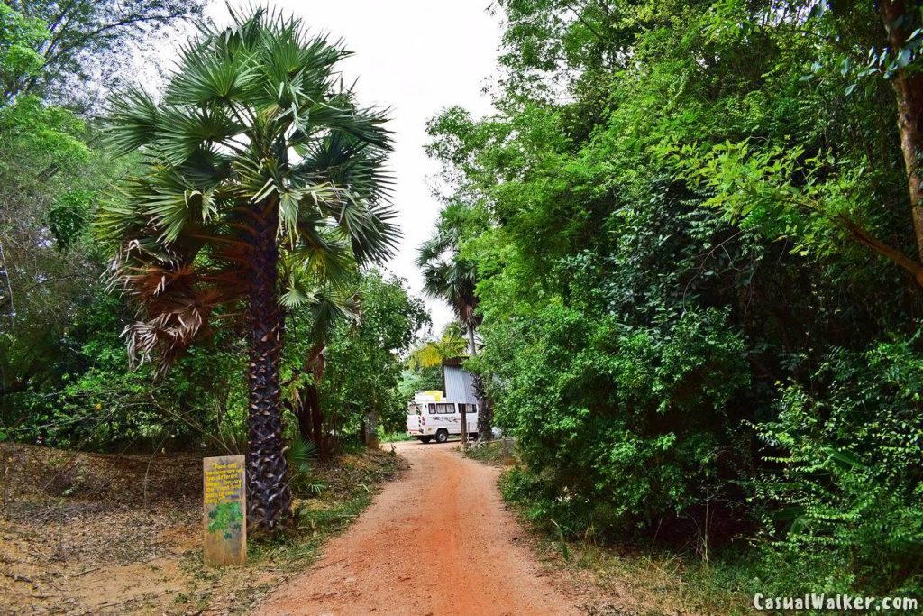Solitude Farm - Food Discovery Trail, Auroville, Pondicherry Visit ...