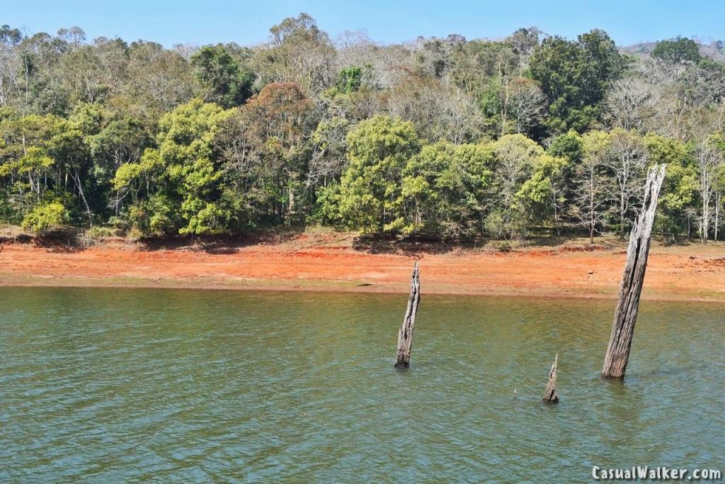 Thekkady Lake Boating, Periyar National Park at Idukki, Kerala Visit ...