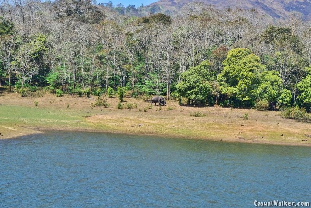 Thekkady Lake Boating, Periyar National Park at Idukki, Kerala Visit ...