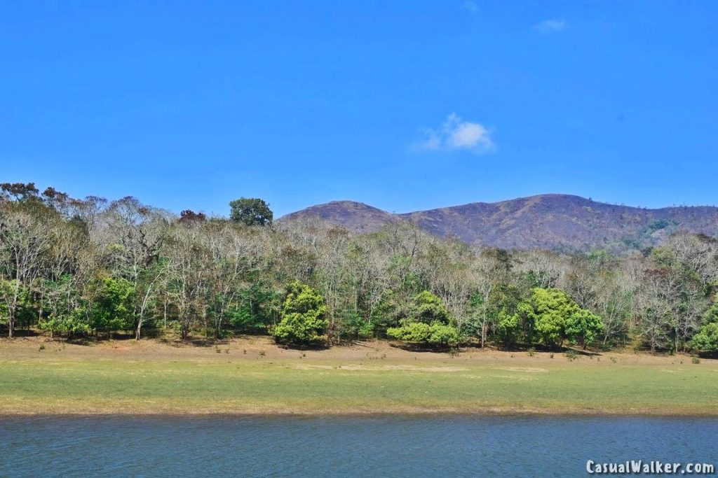 Thekkady Lake Boating, Periyar National Park at Idukki, Kerala Visit ...
