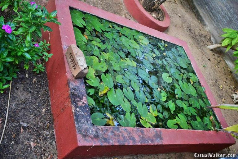 Cholamandal Artists' Village, Museum Of Contemporary Art, Injambakkam ...