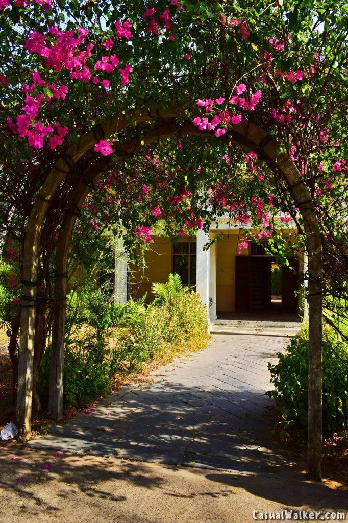 Theosophical Society International Headquarters, Adyar Chennai Visit ...