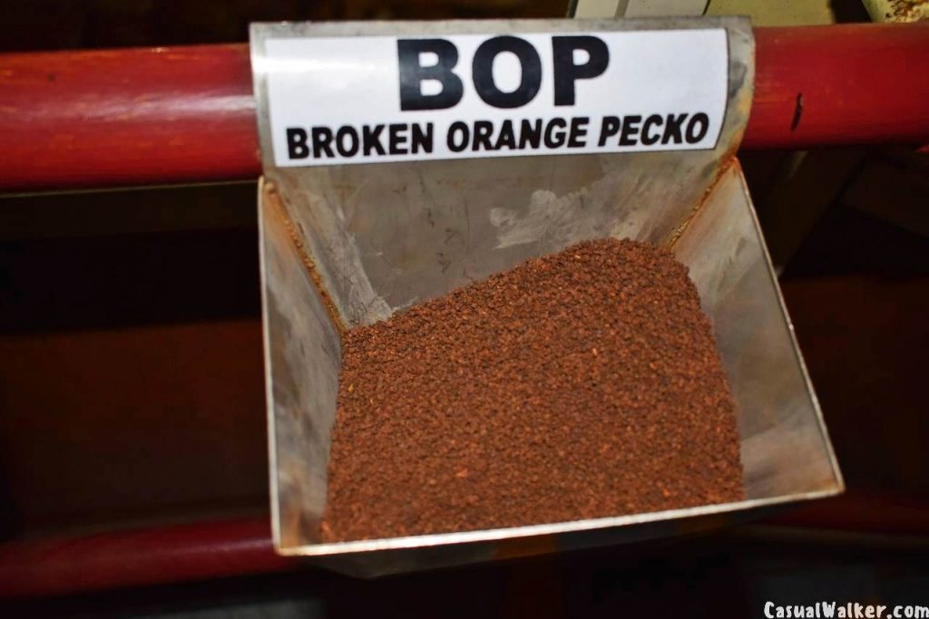 Kanan Devan Hills Plantations Company (KDHP), Madupatty Tea Factory ...