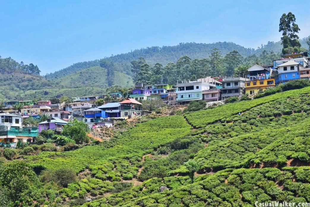Munnar Hill Station & Tea Plantations, Munnar, Idukki, Kerala Visit ...