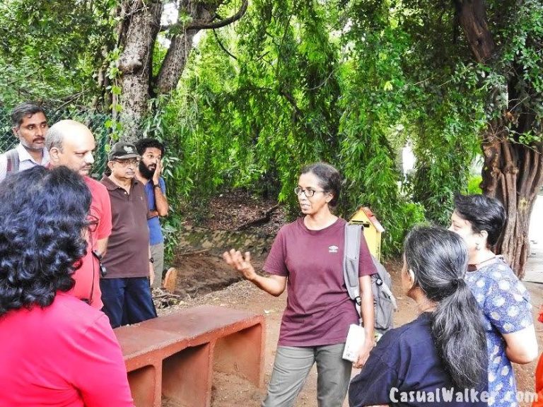 Nature Walk At Indian Institute of Technology (IIT) Madras, Chennai ...