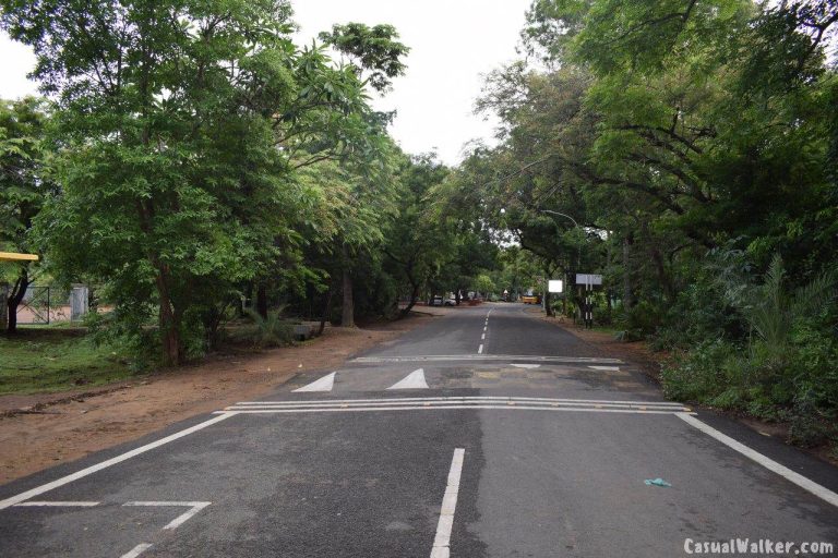 Nature Walk At Indian Institute of Technology (IIT) Madras, Chennai ...