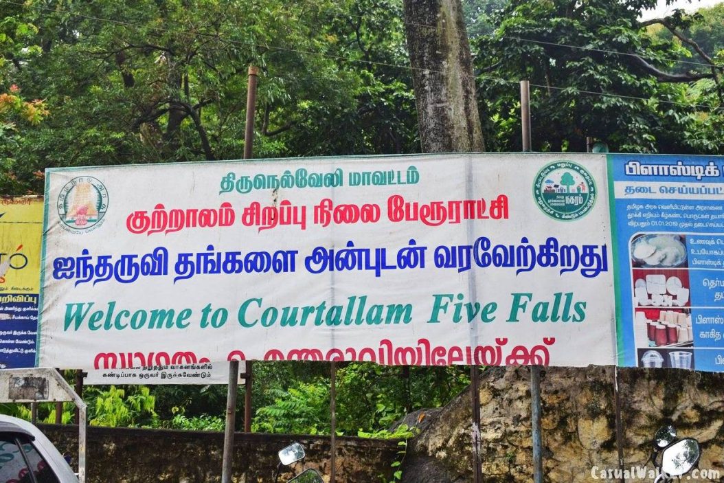 Aintharuvi Waterfalls : Five Falls, Courtallam in Tenkasi - Best ...