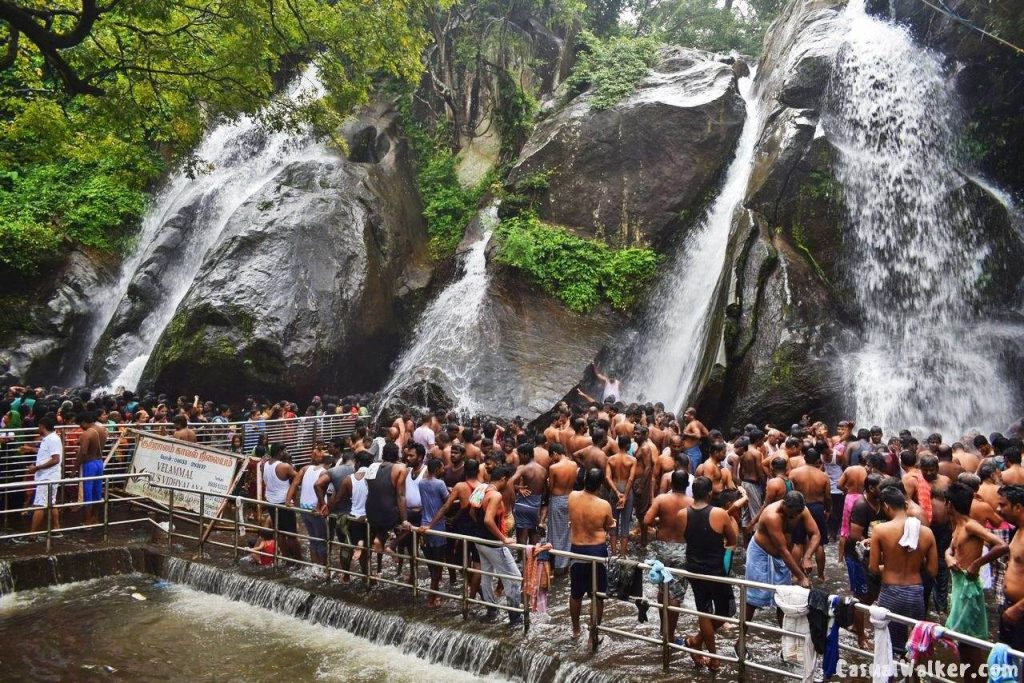 Aintharuvi Waterfalls : Five Falls, Courtallam in Tenkasi - Best ...