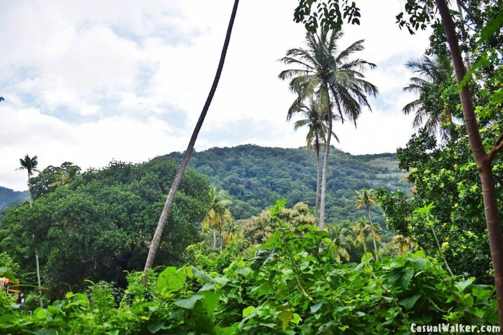 Gopal Private falls in Gundaru Dam, Courtallam, nearby Sengottai, the ...