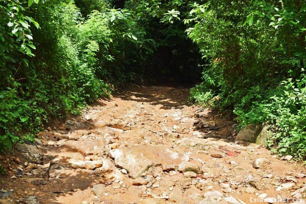 Gopal Private falls in Gundaru Dam, Courtallam, nearby Sengottai, the ...