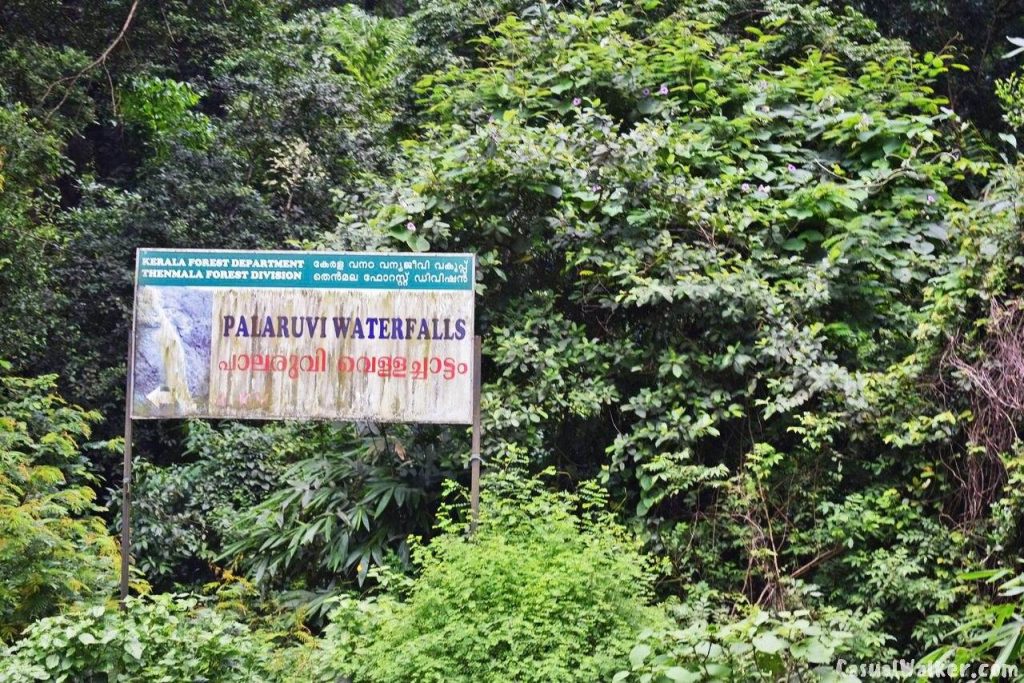 Palaruvi WaterFalls, Aryankavu, Kollam district, Kerala - One of the ...