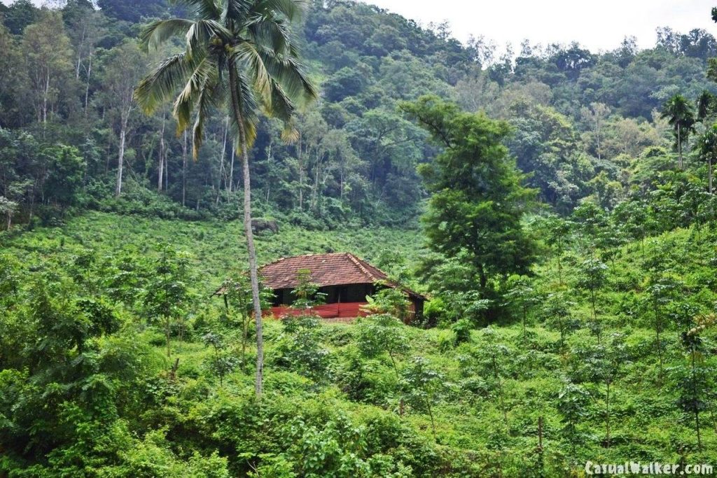 Palaruvi WaterFalls, Aryankavu, Kollam district, Kerala - One of the ...