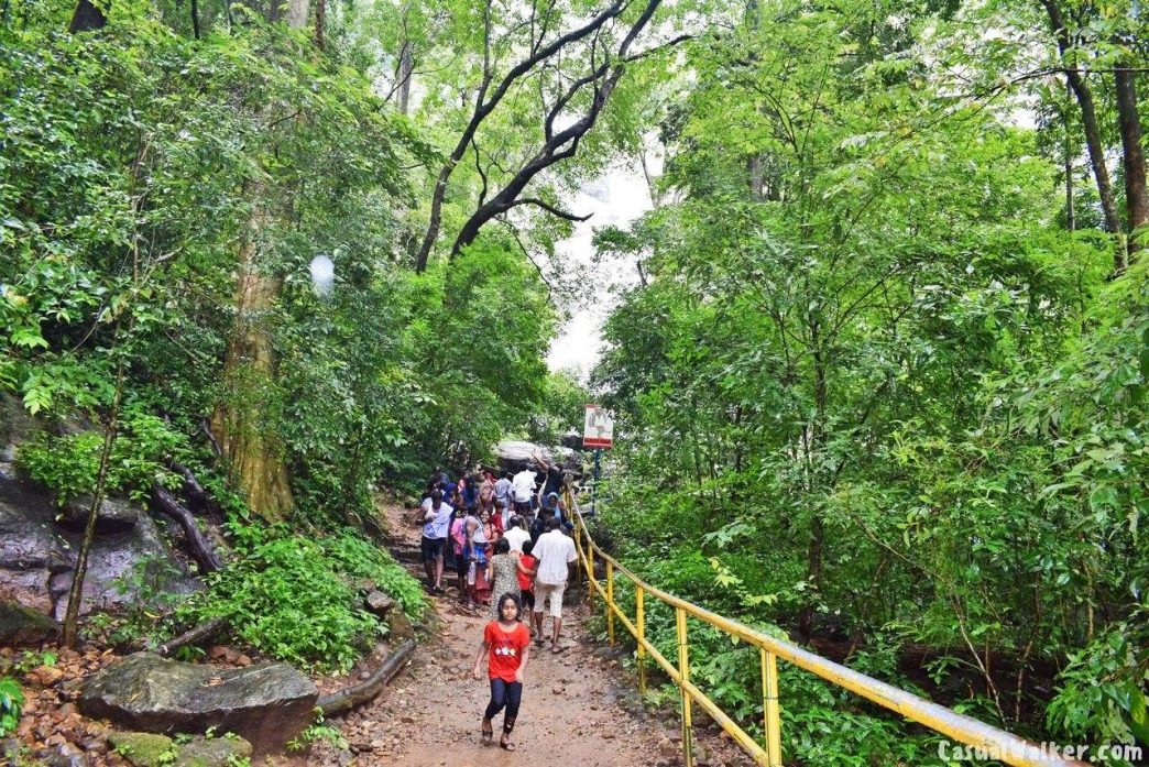 Palaruvi WaterFalls, Aryankavu, Kollam district, Kerala - One of the ...