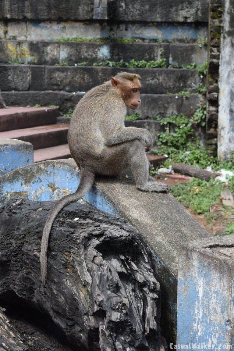 Thiru Kutrala Natha Swamy temple, Courtallam / Kutralam - the Oldest ...