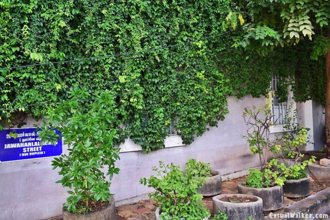 French Colony in Pondicherry, best place for French culture ...