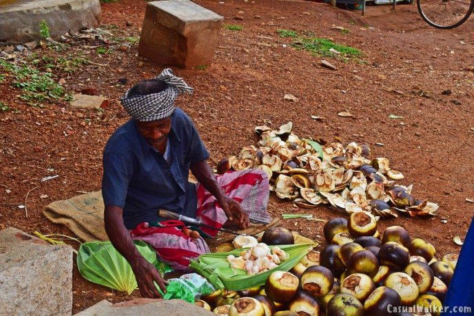 Palm Fruit / Nungu / Pananungu / Palmyra Fruit / Ice Apple, The Best ...