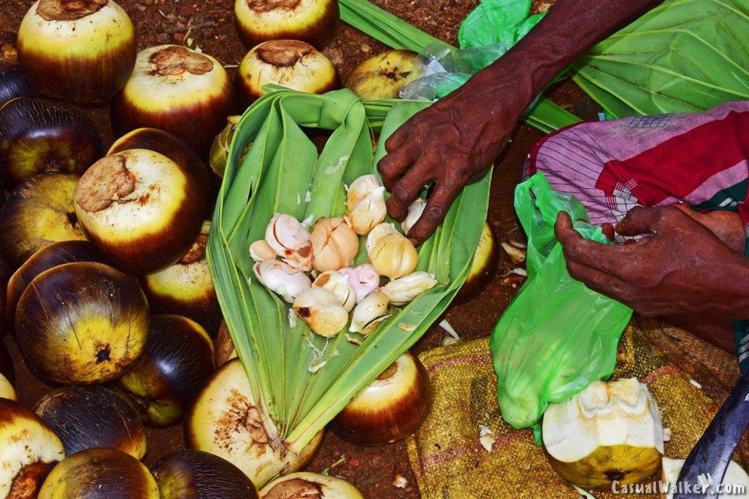 Palm Fruit / Nungu / Pananungu / Palmyra Fruit / Ice Apple, The Best ...