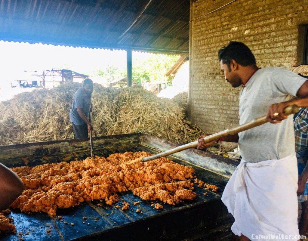 Sugarcane Organic Jaggery / Achu Vellam / Manda Vellam production in ...