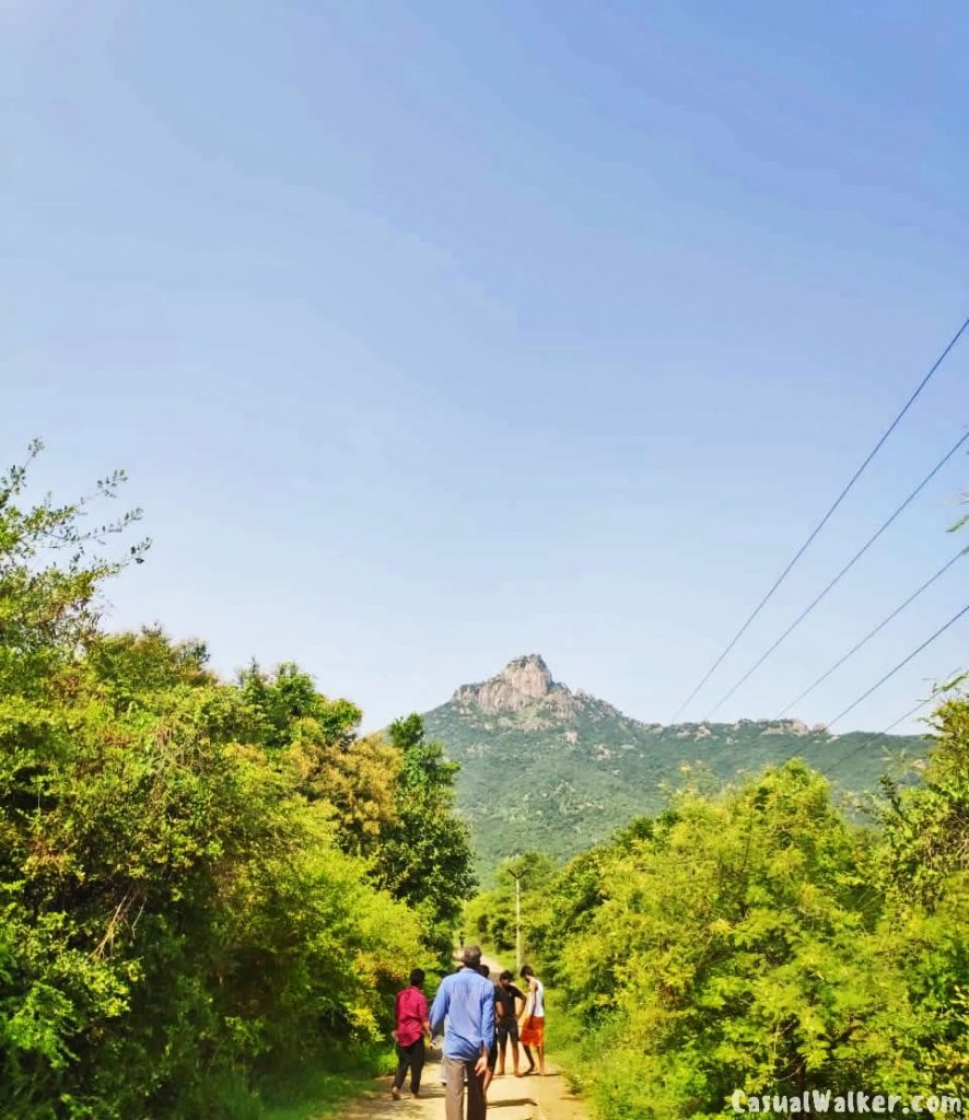 Parvathamalai / Parvatha Hills - the 'Hill of Hills' or 'Queen of Hills ...
