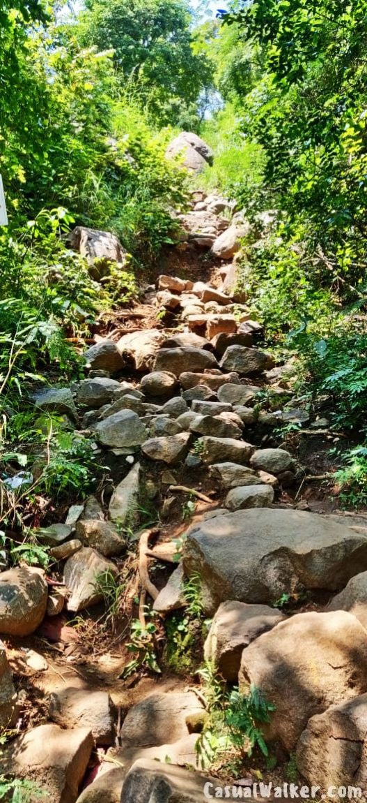 Parvathamalai / Parvatha Hills - the 'Hill of Hills' or 'Queen of Hills ...