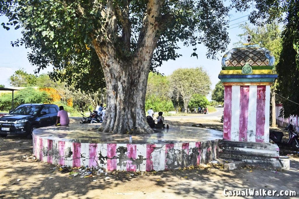 Sri Maha Sathaiyanar Temple / Sathanur Ayyanar Eswaran Temple in ...