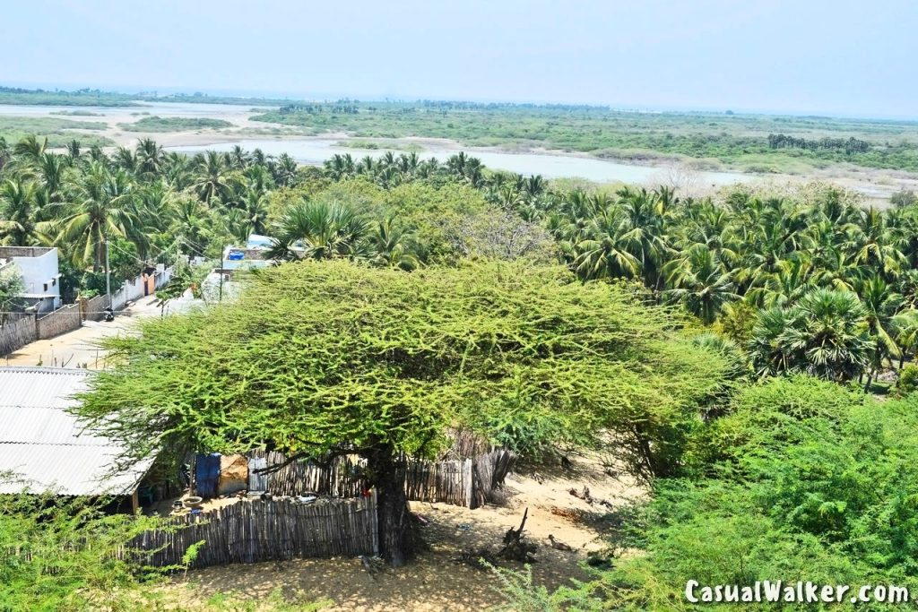 Ramar Patham Temple in Dhanushkodi, Gandha Madhana Parvatham ...