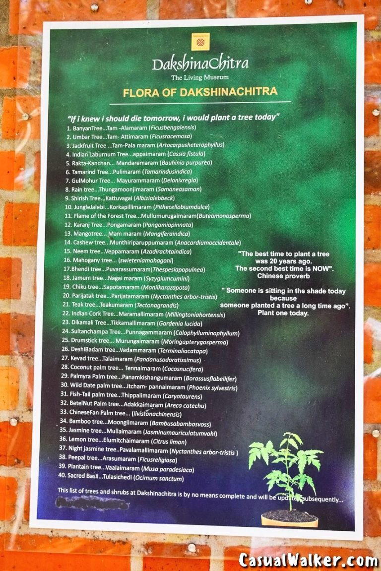 Dakshinachitra Heritage Museum in Muttukadu, Chennai : The Living ...