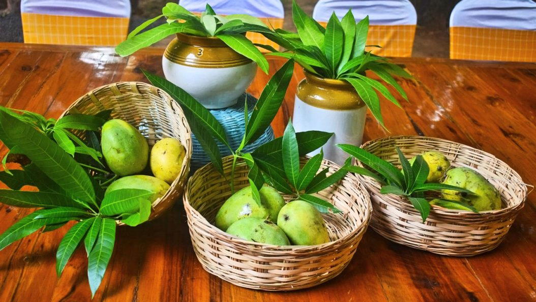 The Great Mango Festival by Hanu Reddy Mango Tourism at Hanu Reddy ...