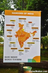 The Great Mango Festival by Hanu Reddy Mango Tourism at Hanu Reddy ...