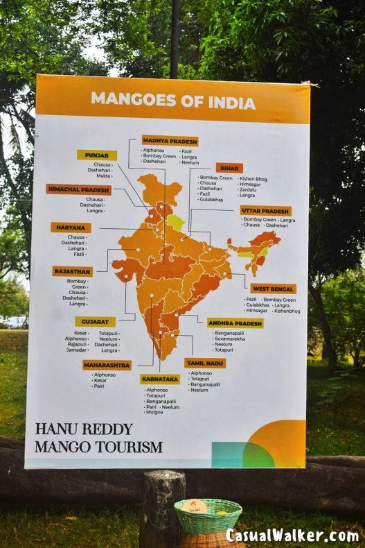 The Great Mango Festival by Hanu Reddy Mango Tourism at Hanu Reddy ...