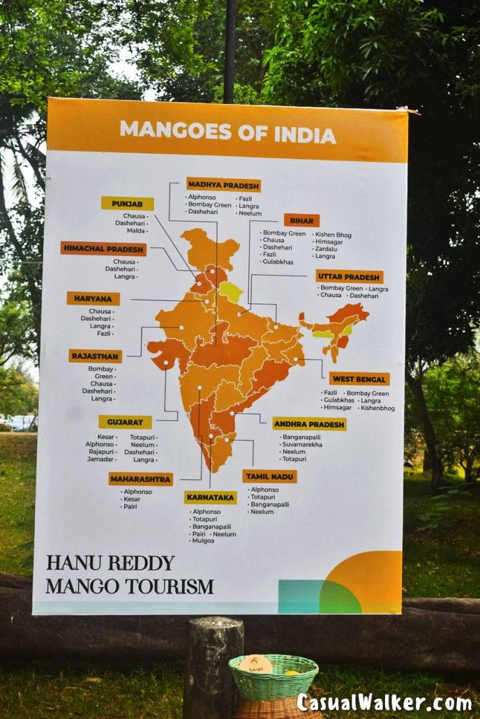 The Great Mango Festival by Hanu Reddy Mango Tourism at Hanu Reddy ...