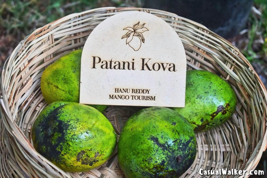 The Great Mango Festival by Hanu Reddy Mango Tourism at Hanu Reddy ...