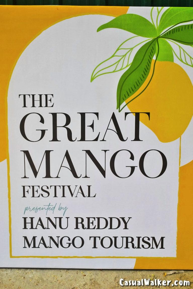 The Great Mango Festival by Hanu Reddy Mango Tourism at Hanu Reddy ...
