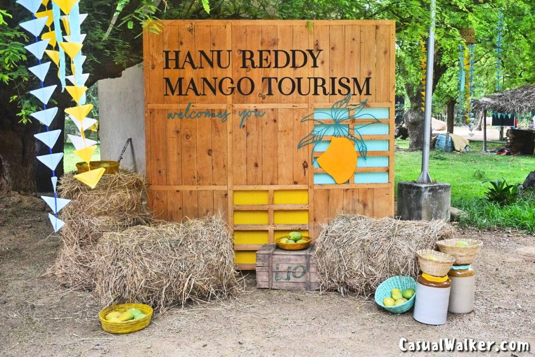 The Great Mango Festival by Hanu Reddy Mango Tourism at Hanu Reddy ...