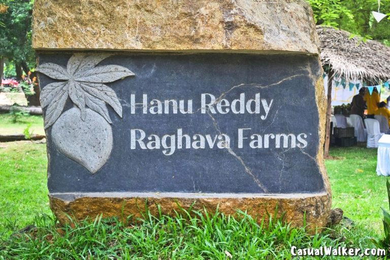 The Great Mango Festival by Hanu Reddy Mango Tourism at Hanu Reddy ...