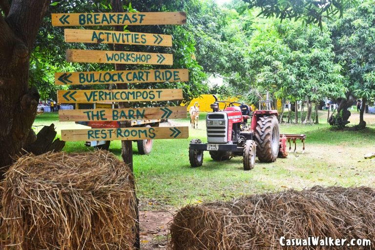 The Great Mango Festival by Hanu Reddy Mango Tourism at Hanu Reddy ...