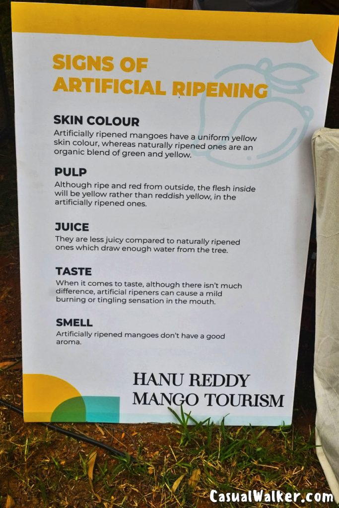The Great Mango Festival by Hanu Reddy Mango Tourism at Hanu Reddy ...