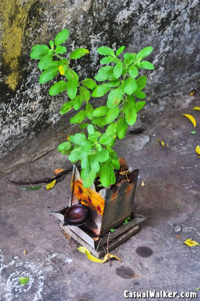 Sri Peyazhwar Avatara Sthalam / Temple, near Sri Adikesava Perumal ...