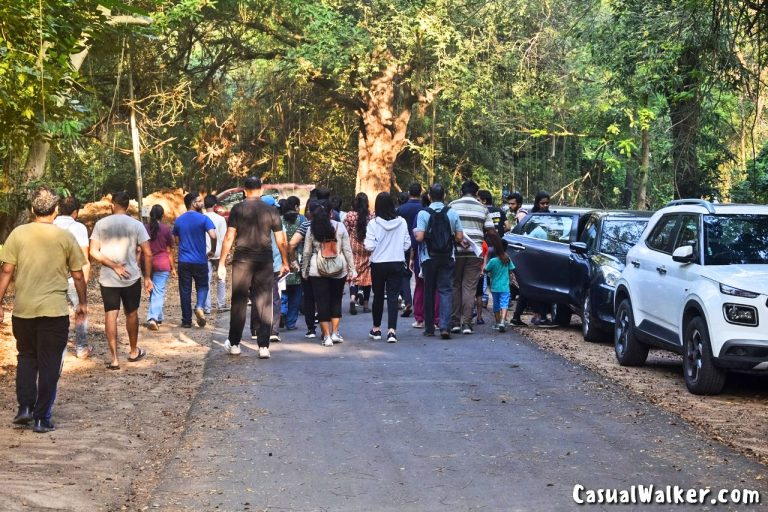SPIC MACAY Virasat Nature Walk - An Nature Walk at Indian Institute of ...