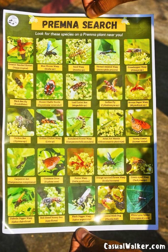 SPIC MACAY Virasat Nature Walk - An Nature Walk at Indian Institute of Technology (IIT) Madras ...