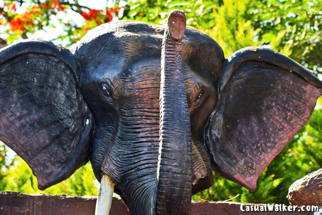 Dubare Elephant Camp in Kushalnagar, Coorg : Experience the Elephant's ...