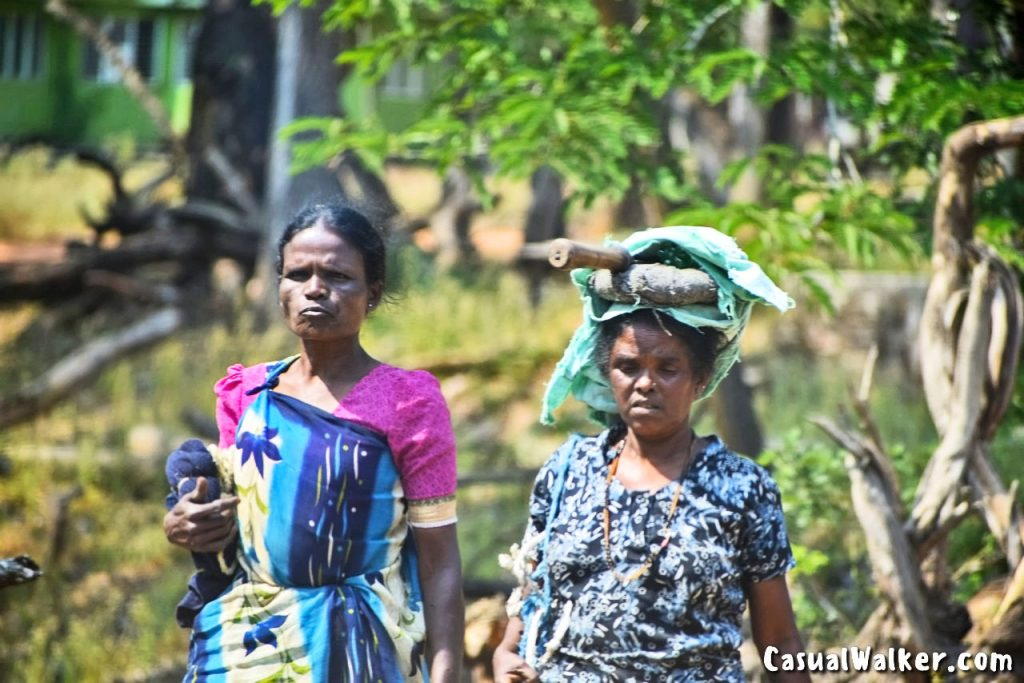 Nagarahole Tiger Reserve (NTR) / Nagarahole National Park in Hunsur ...