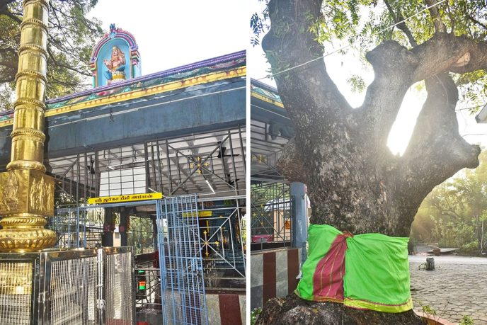 Sri Durga Peeli Amman Temple, an Goddess Durga Temple in IIT Madras ...