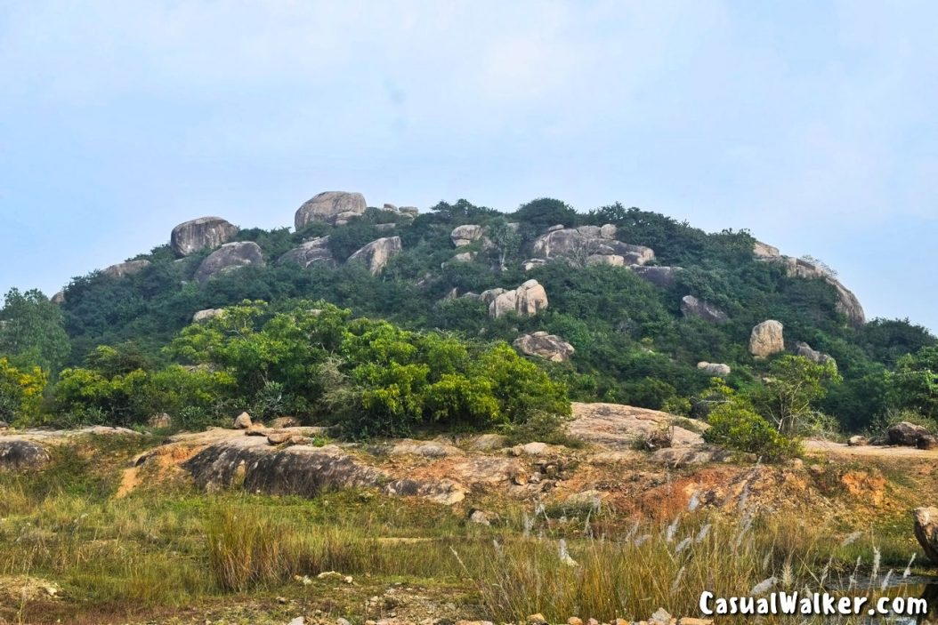 Ancient Jain Caves Sculptures, Jain Temple, Beds in Onampakkam ...
