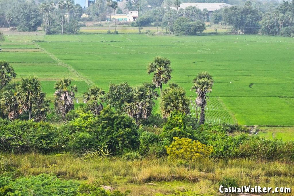 Ancient Jain Caves Sculptures, Jain Temple, Beds in Onampakkam ...
